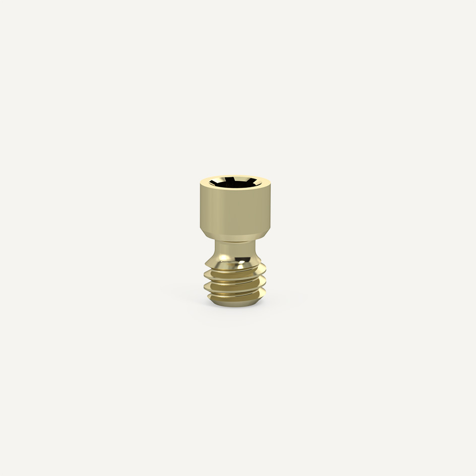 Prosthetics - Product Overview - Screws